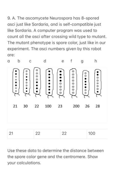 Solved 9. A. The ascomycete Neurospora has 8 -spored asci | Chegg.com