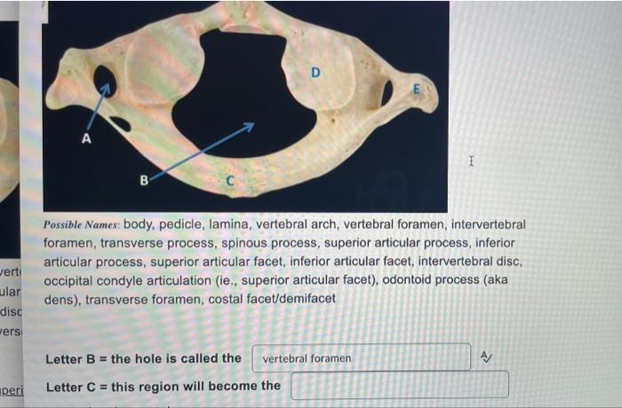 Solved can i please get help with these?Write in the feature | Chegg.com