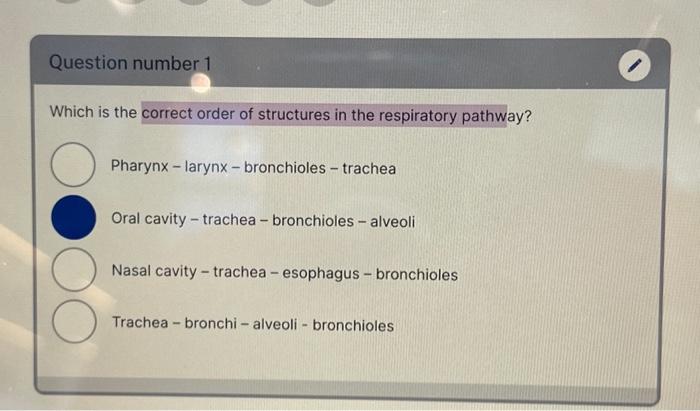 Solved Which is the correct order of structures in the | Chegg.com