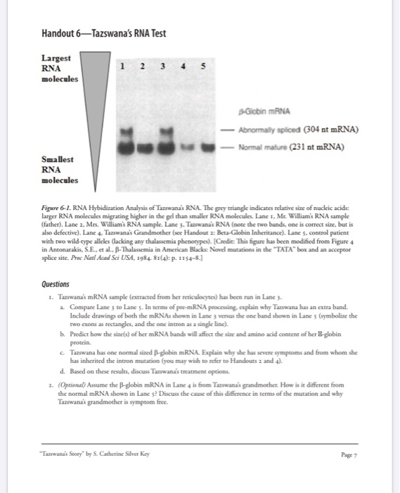 Solved Handout 6 Tazswana's RNA Test Largest RNA molecules 1 | Chegg.com