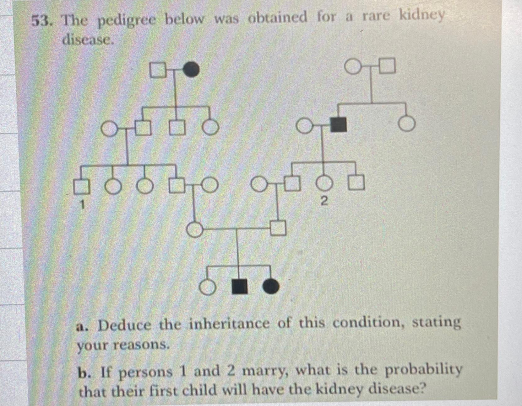 Solved The pedigree below was obtained for a rare kidney | Chegg.com