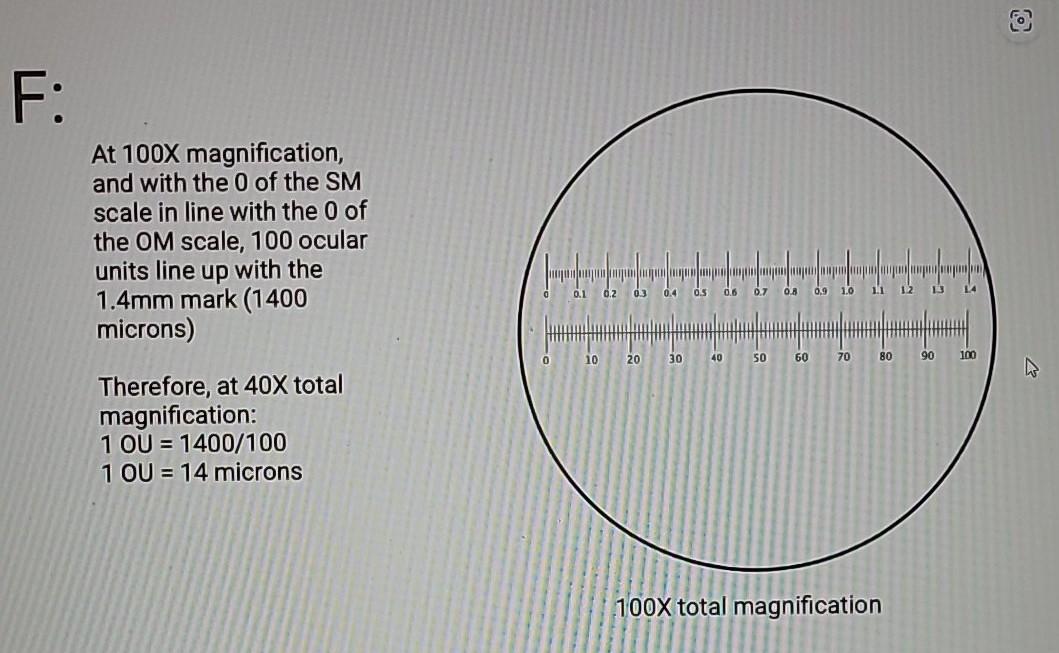 Solved Predict the value of 10O at 400× total magnification, | Chegg.com