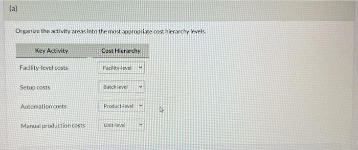 Solved Organize the activity areas into the most appropriate | Chegg.com