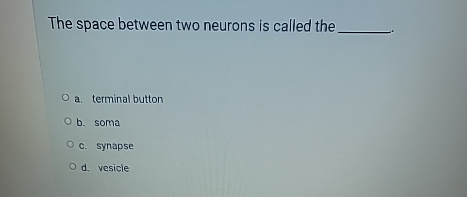 Solved The space between two neurons is called thea. | Chegg.com