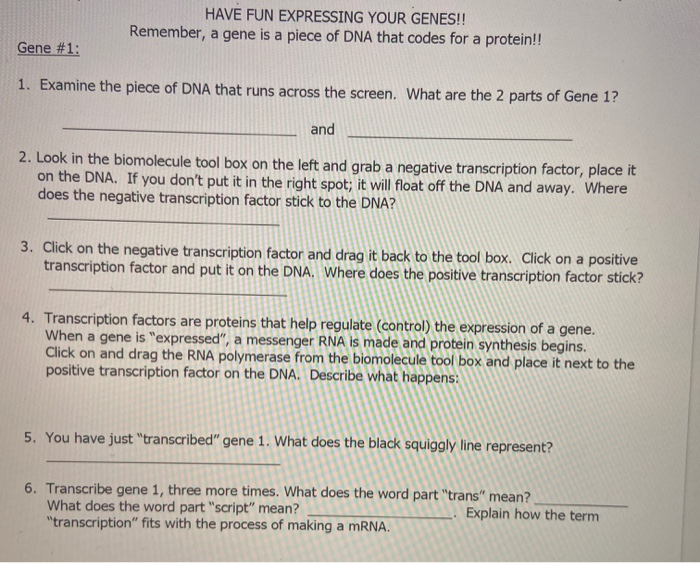 HAVE FUN EXPRESSING YOUR GENES!! Remember, a gene is | Chegg.com