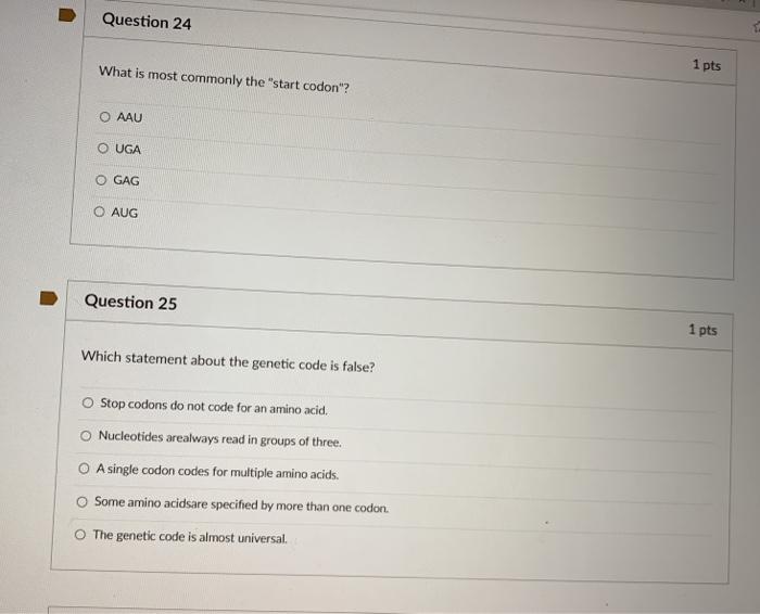 Solved Question 30 1 pts Although 61 different codons code | Chegg.com