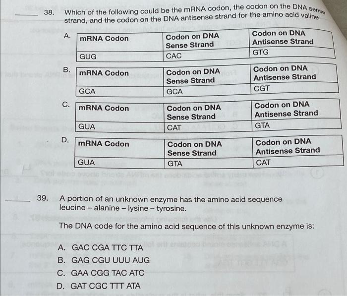 Solved 38. Which of the following could be the mRNA codon, | Chegg.com