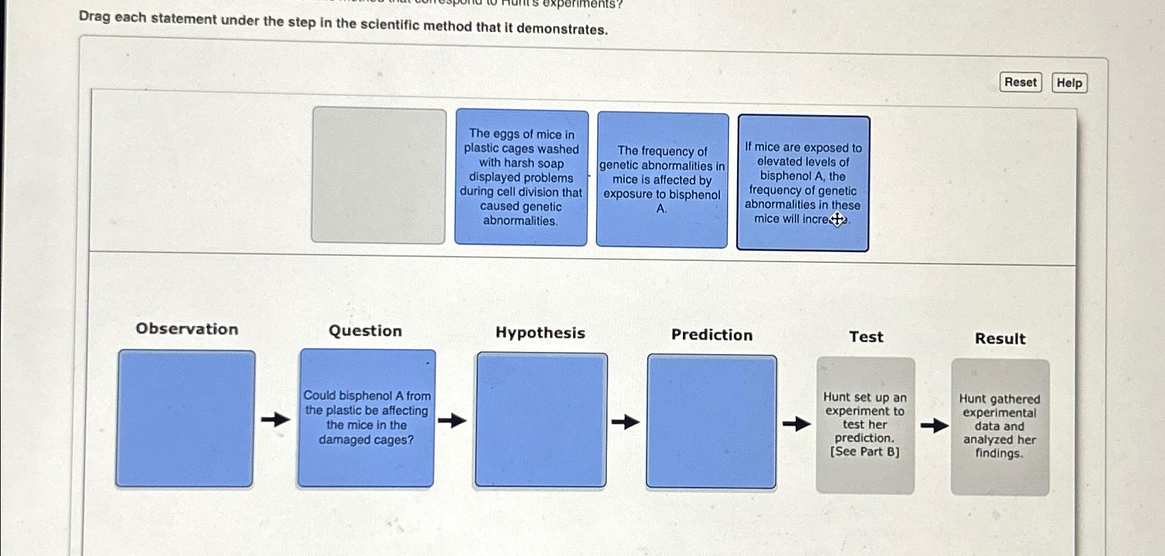 Solved Drag each statement under the step in the scientific | Chegg.com