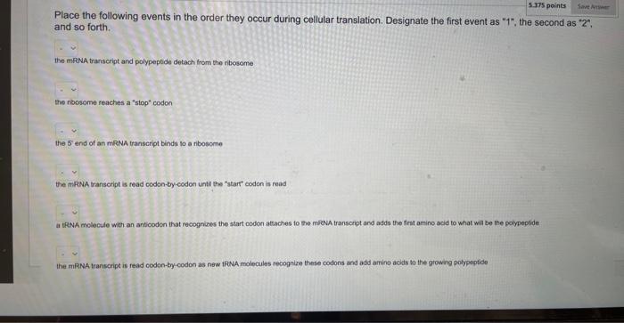 Solved Place the following events in the order they occur | Chegg.com