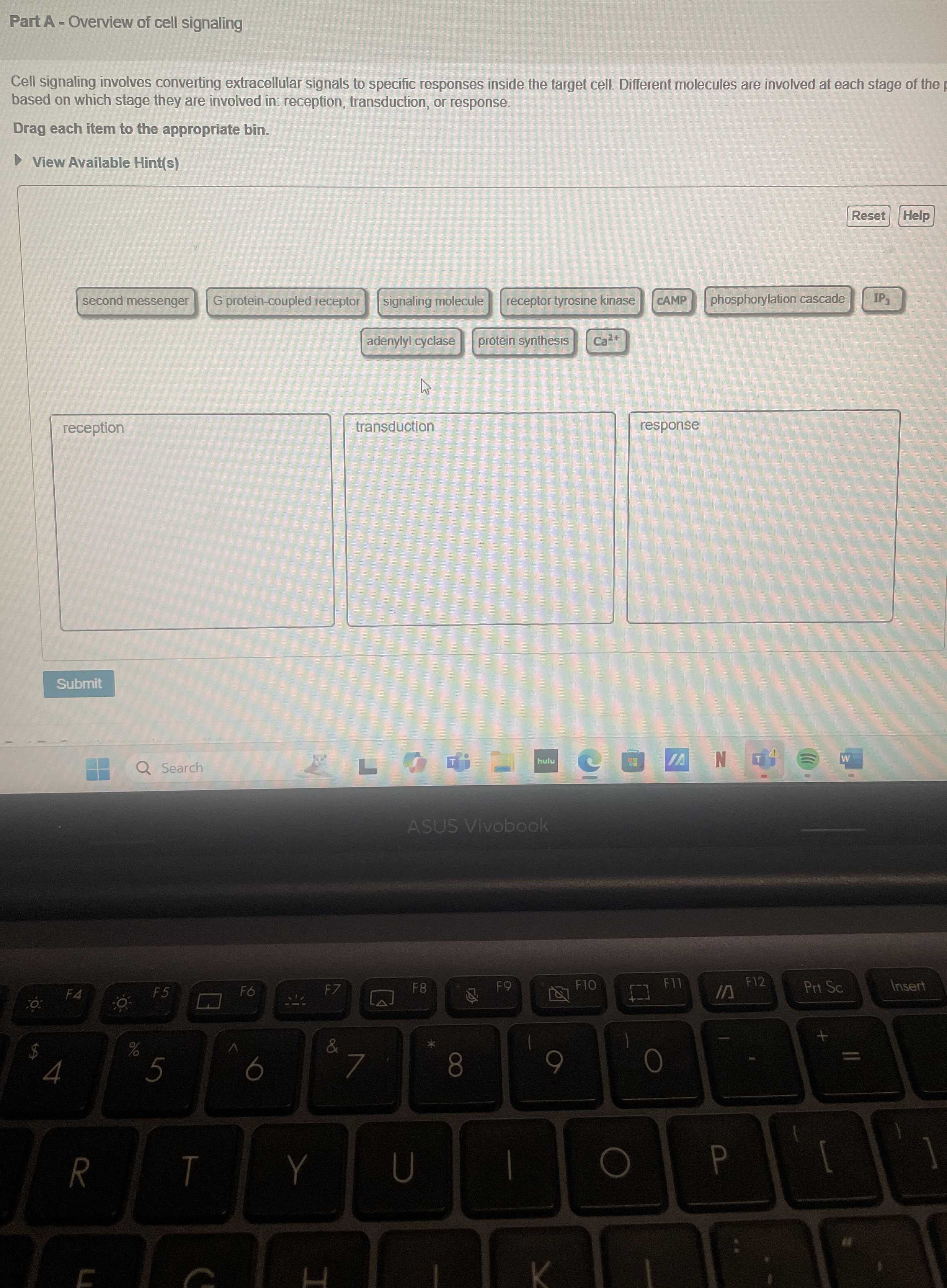 Solved Part A - ﻿Overview of cell signalingCell signaling | Chegg.com
