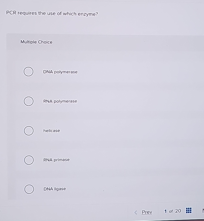 Solved PCR requires the use of which enzyme?Multiple | Chegg.com