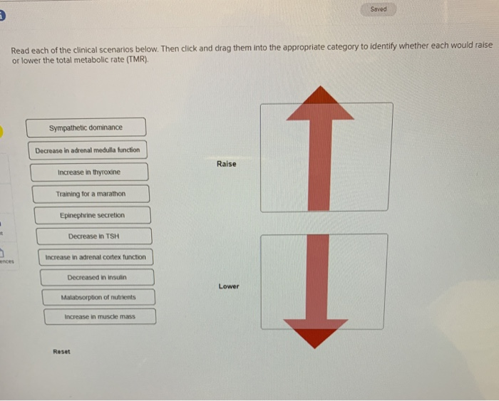 Solved Saved Read each of the clinical scenarios below. Then | Chegg.com