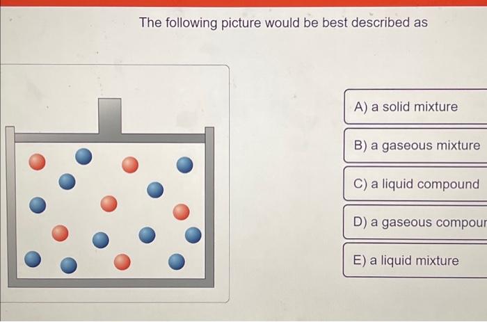 Solved The following picture would be best described as A) a | Chegg.com