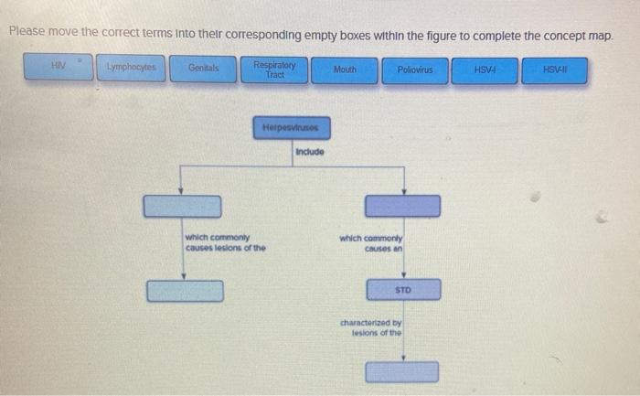 Solved Please move the correct terms into their | Chegg.com