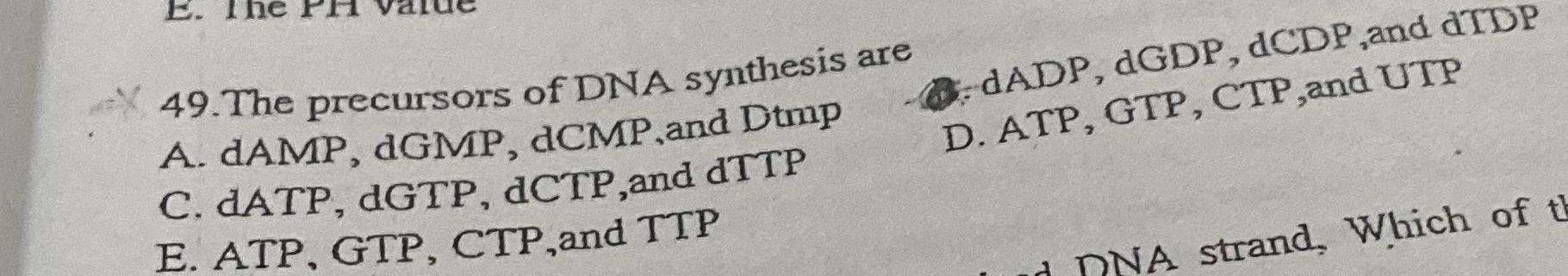Solved The precursors of DNA synthesis areA. ﻿dAMP, dGMP, | Chegg.com
