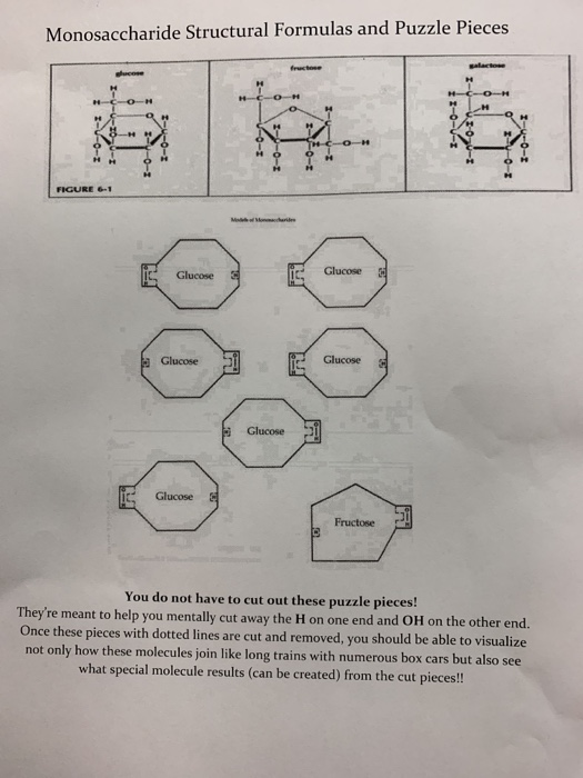 Solved Monosaccharide Structural Formulas and Puzzle Pieces | Chegg.com