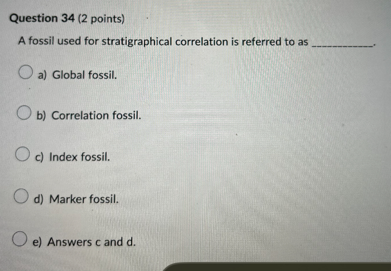 Solved Question 34 (2 ﻿points)A fossil used for | Chegg.com