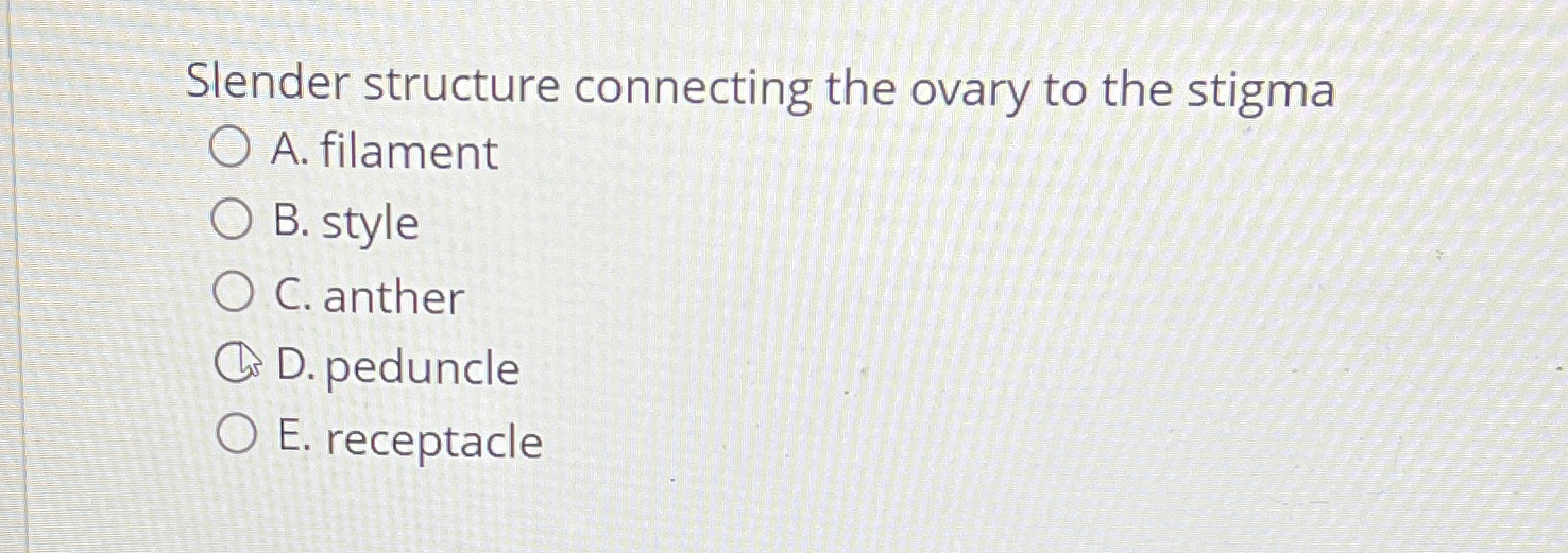 Solved Slender structure connecting the ovary to the | Chegg.com