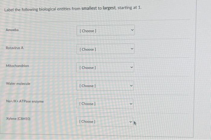 Solved Label the following biological entities from smallest | Chegg.com