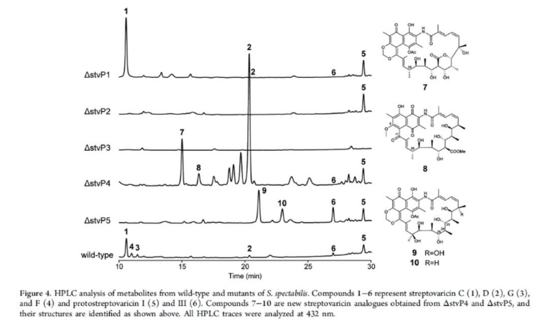 Solved hi. I need help understand the graph and the method | Chegg.com
