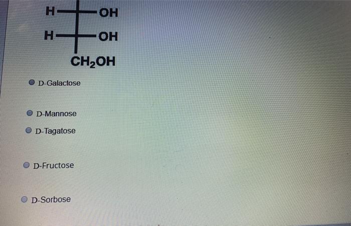 Solved Question 13 From the following structure, choose an | Chegg.com