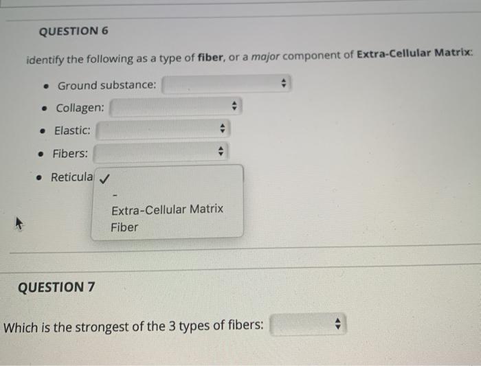 Solved QUESTION 6 identify the following as a type of fiber, | Chegg.com