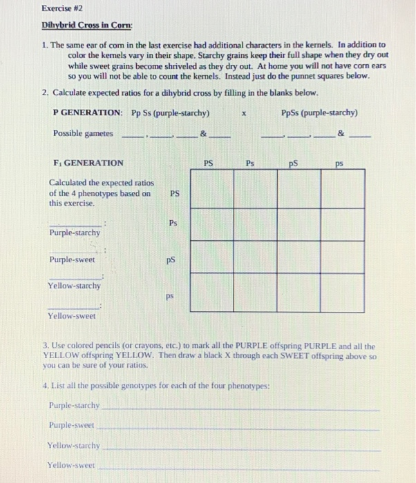 Solved Corn Genetics Lab - extra credit Exercise #1 | Chegg.com