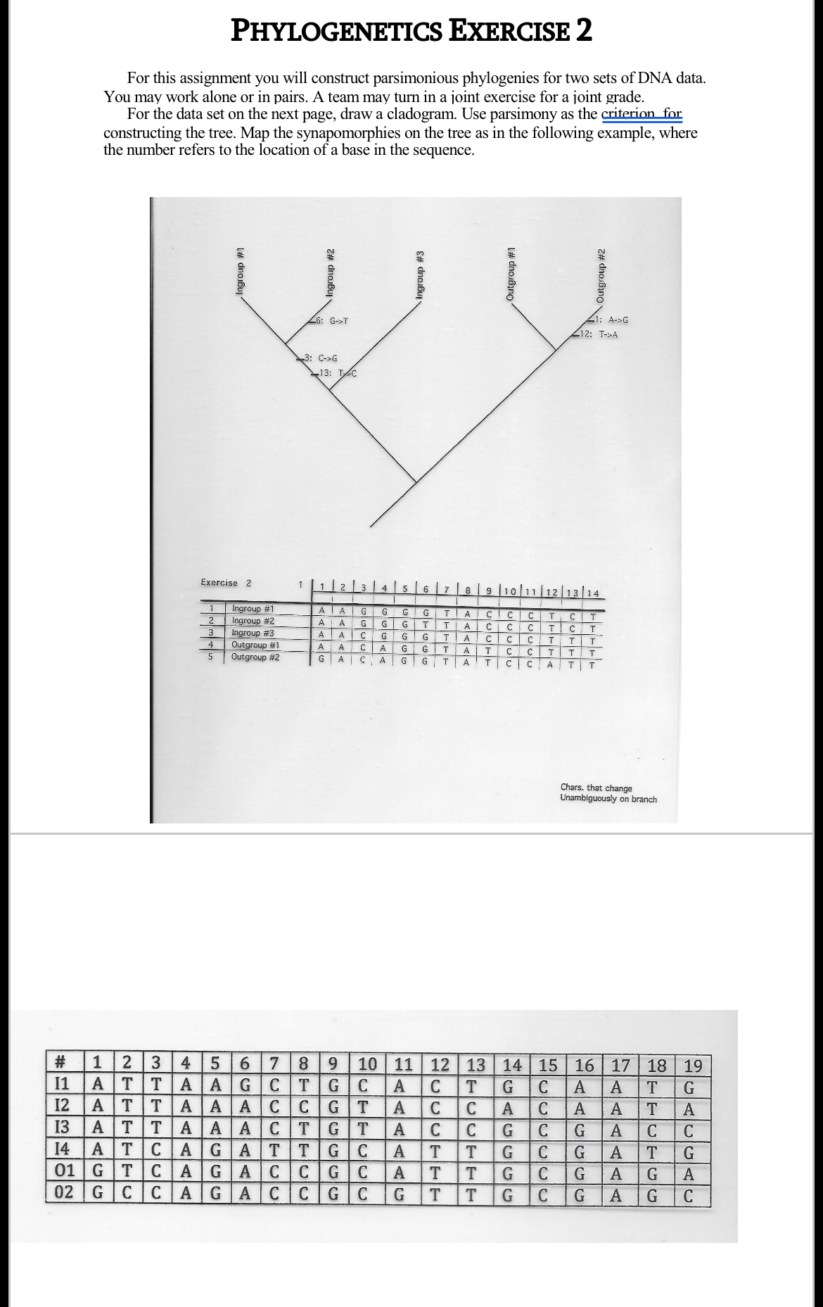 Solved For this assignment you will construct parsimonious | Chegg.com