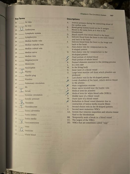 Solved phlebotomy course chapter 6-1 key terms and | Chegg.com