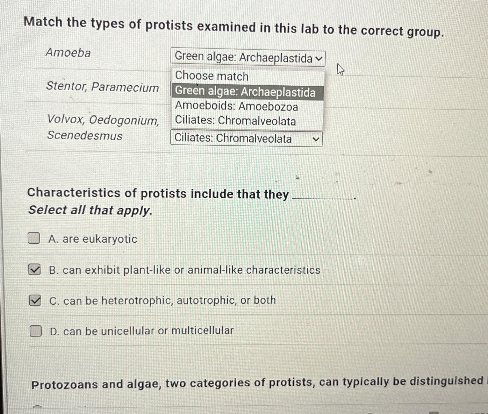 Solved Match the types of protists examined in this lab to | Chegg.com