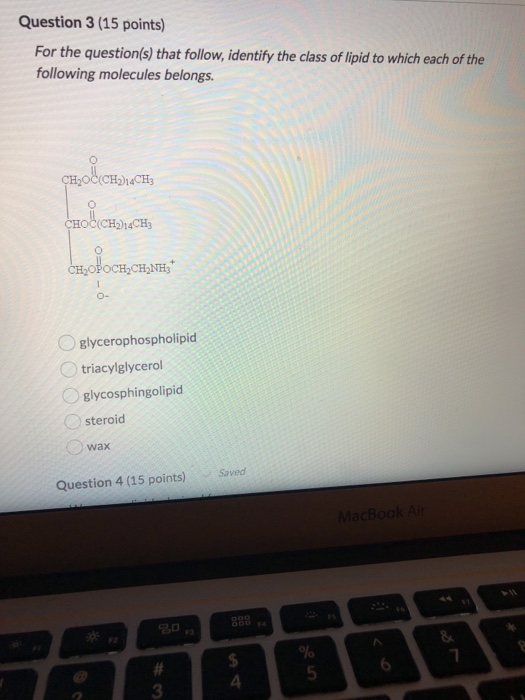 Solved Question 3 (15 points) For the question(s) that | Chegg.com