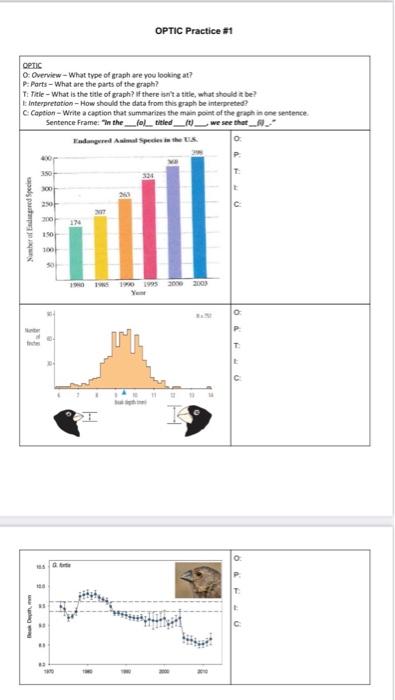 OPTIC Practice 11 OPTIC o Overview - What type of | Chegg.com