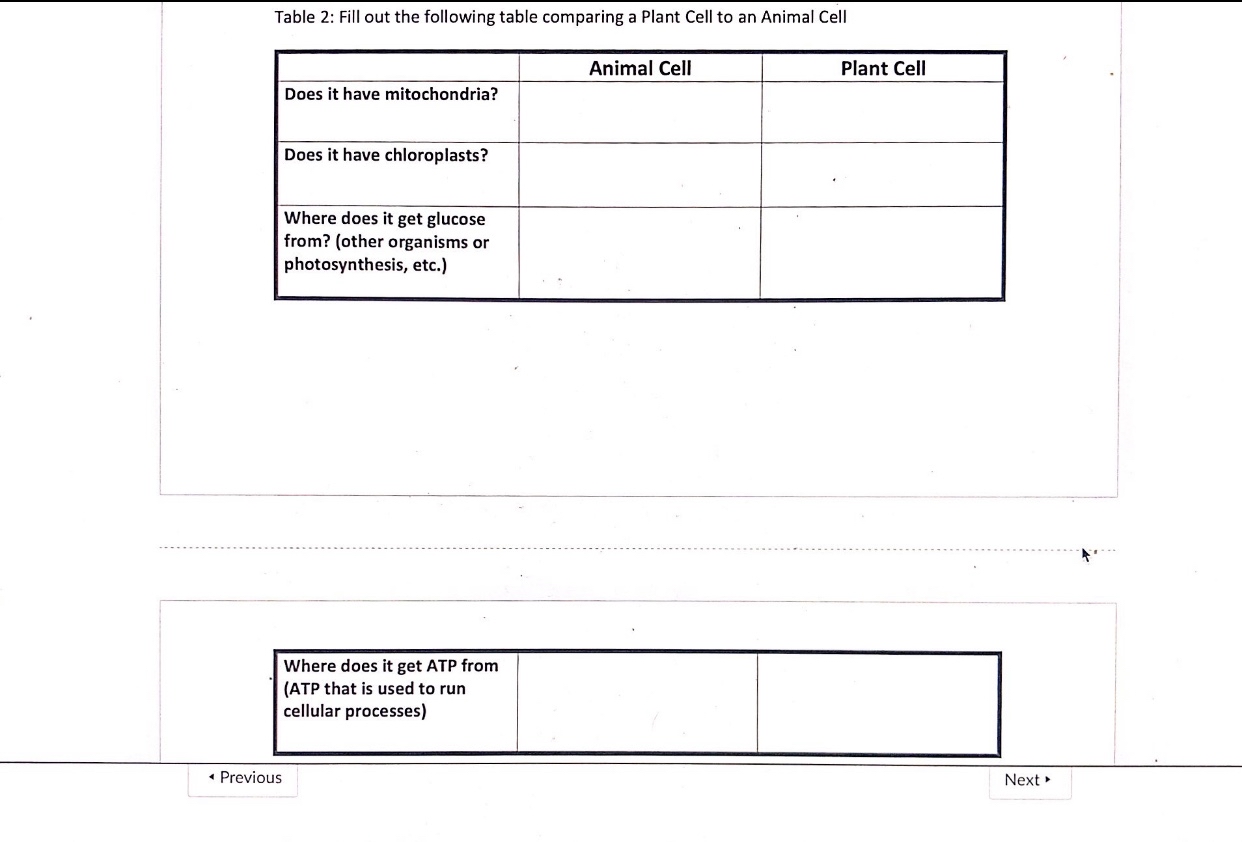 Solved Table 2: Fill out the following table comparing a | Chegg.com