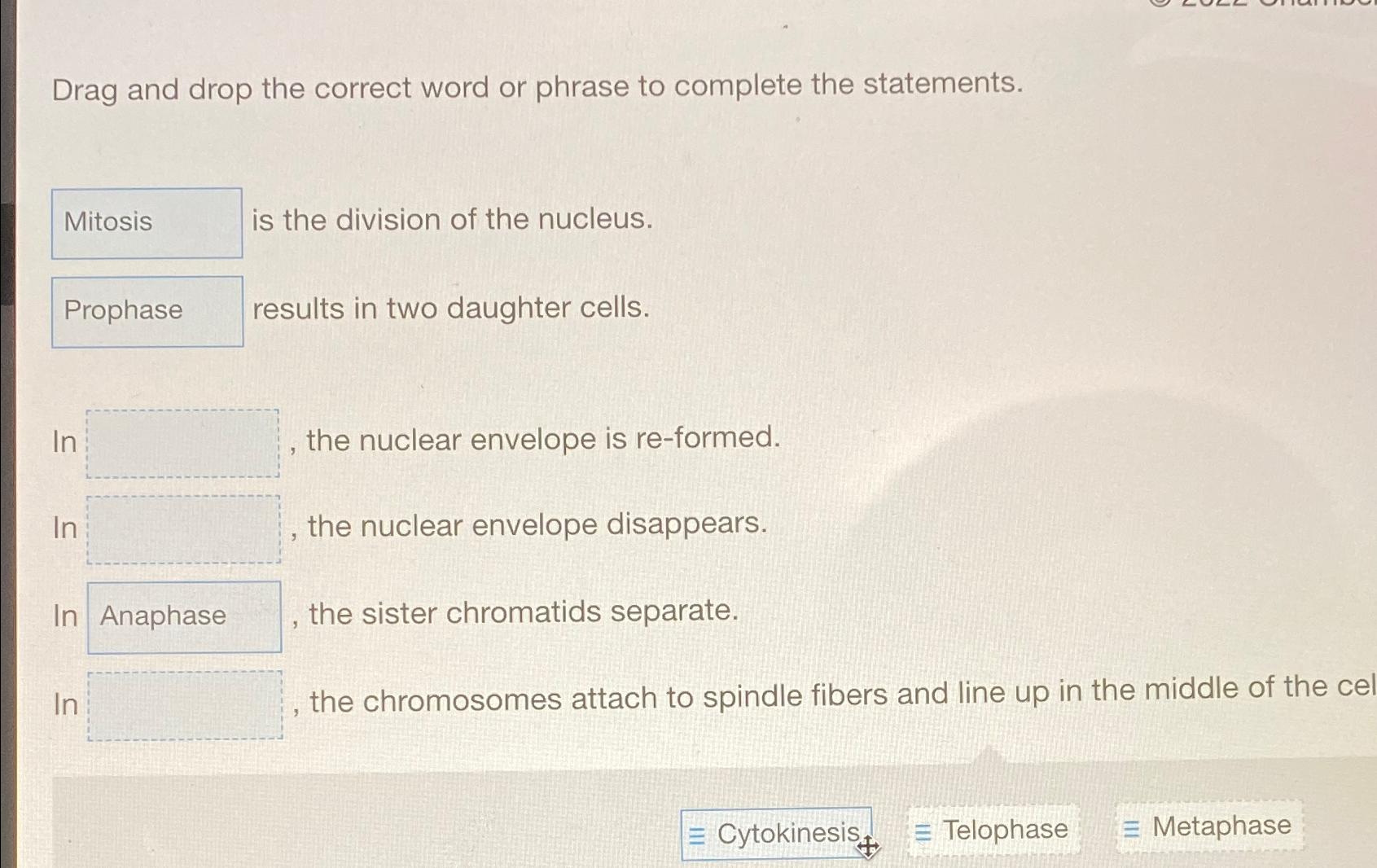 Solved Drag and drop the correct word or phrase to complete | Chegg.com