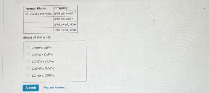 Solved Part A Parental Plants tall, violet x tall, white | Chegg.com