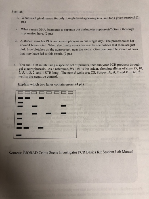 Solved Post lab What Is A Logical Reason For Only 1 Single Chegg solved-post-lab-what-is-a-logical-reason-for-only-1-single-chegg