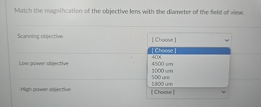 Solved Match the magnification of the objective lens with | Chegg.com