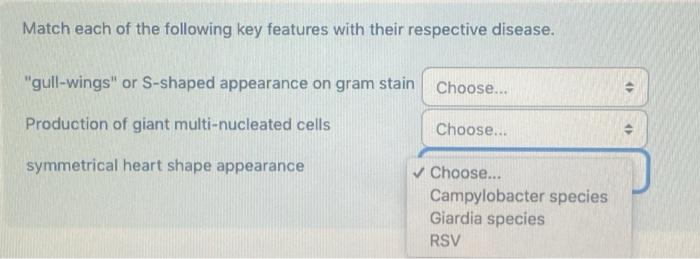 Solved Match each of the following key features with their | Chegg.com