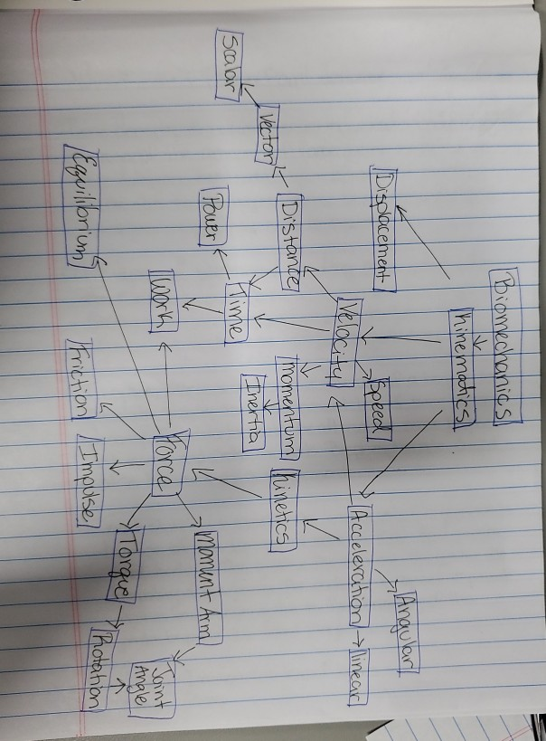Solved Label the arcs of this concept map. Add linking terms | Chegg.com