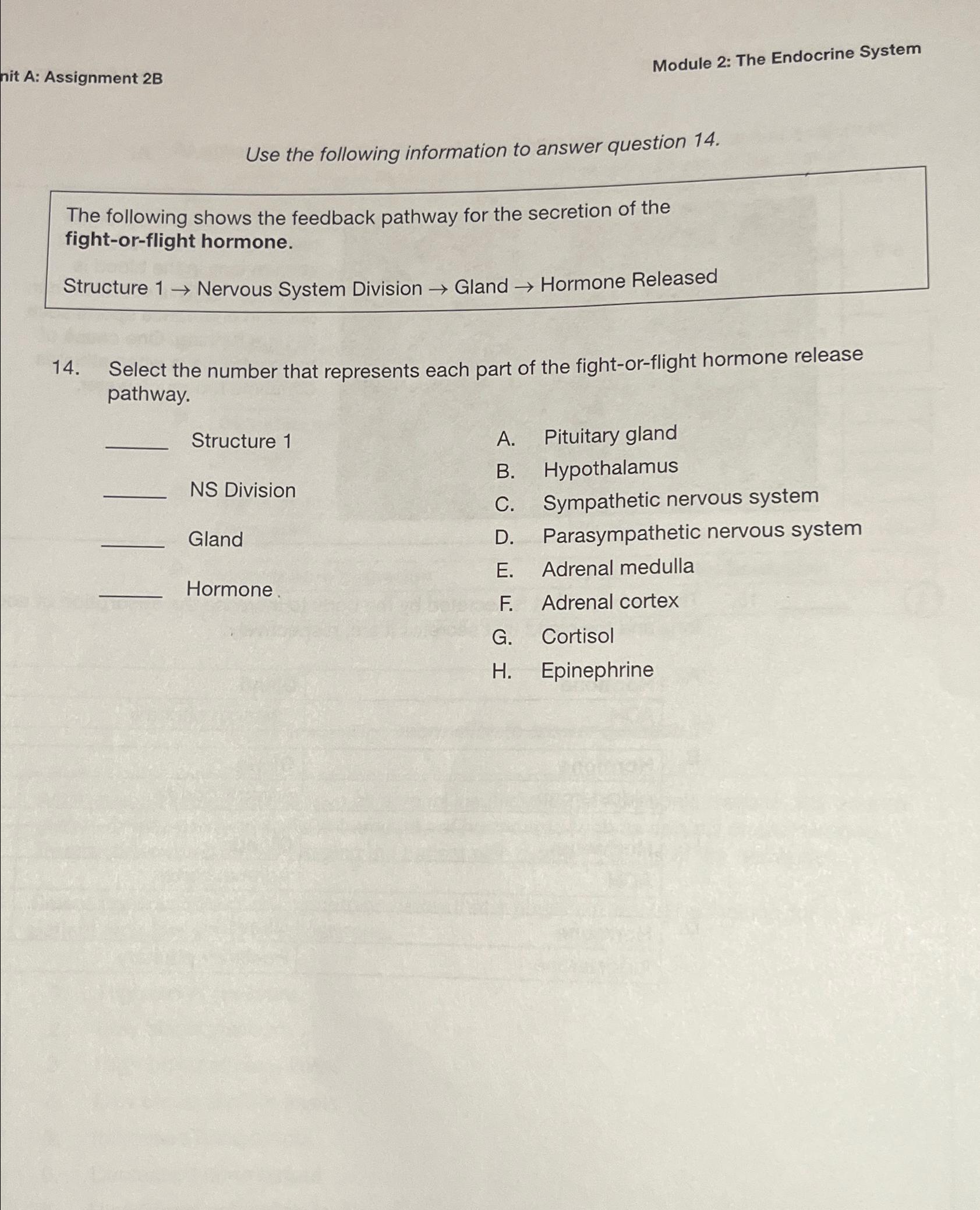 Solved Module 2: The Endocrine SystemUse the following | Chegg.com