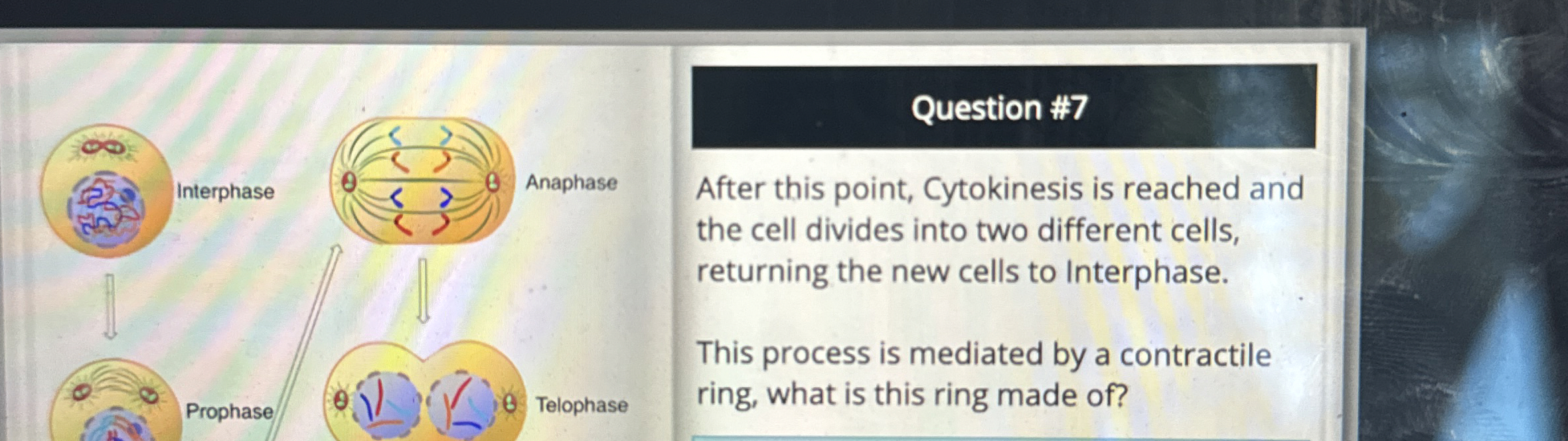 Solved Question #7After this point, Cytokinesis is reached | Chegg.com
