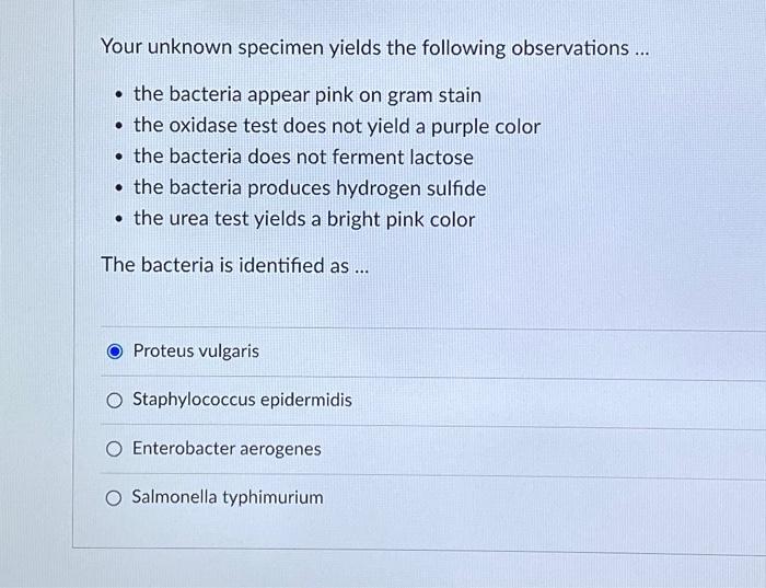 Solved Your unknown specimen yields the following | Chegg.com