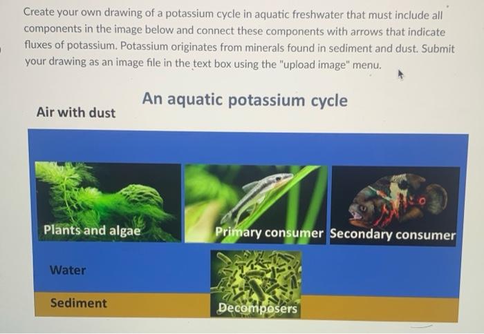 Solved please draw a potassium cycle in aquatic freshwater | Chegg.com