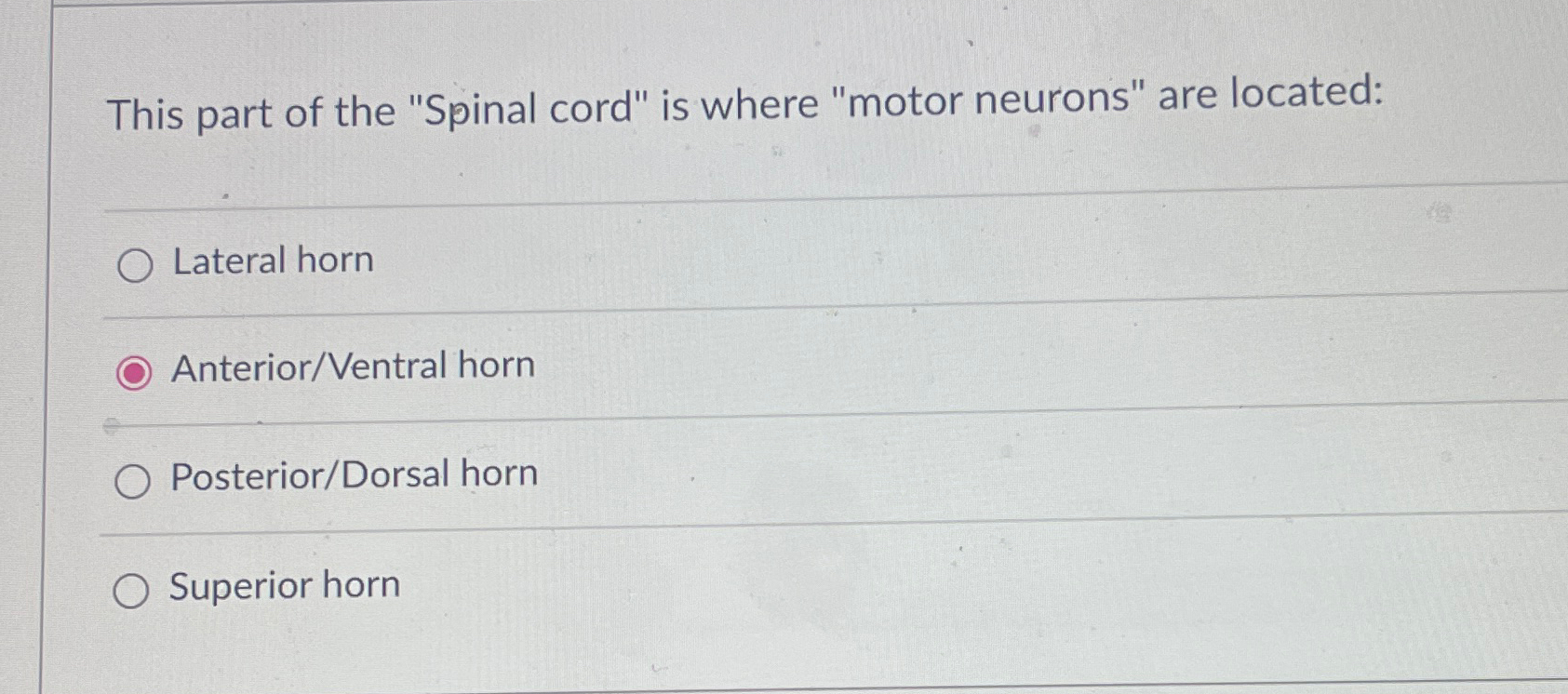 Solved This part of the "Spinal cord" is where "motor | Chegg.com
