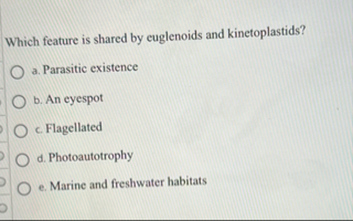 Solved Which feature is shared by euglenoids and | Chegg.com