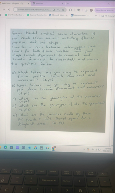 Solved Gregor Mendel studied seven characters of Pea Plants | Chegg.com