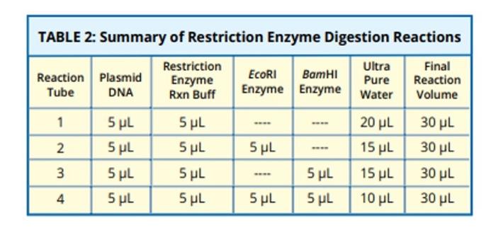 Solved TABLE 2: Summarv of Restriction Enzvme Digestion | Chegg.com