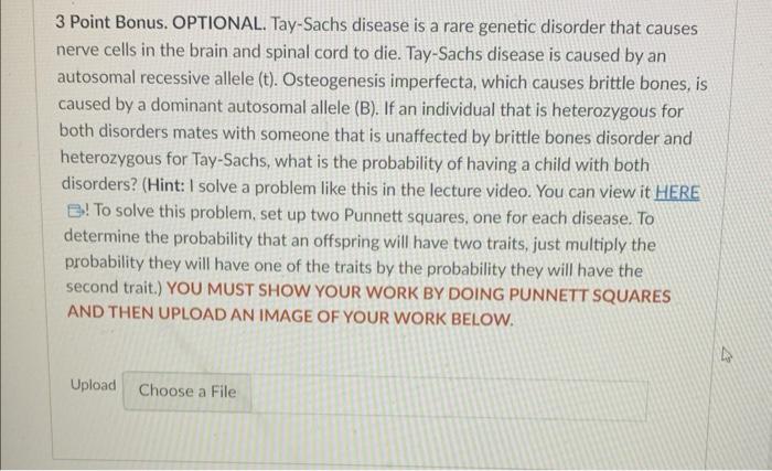 Solved 3 Point Bonus. OPTIONAL. Tay-Sachs disease is a rare | Chegg.com