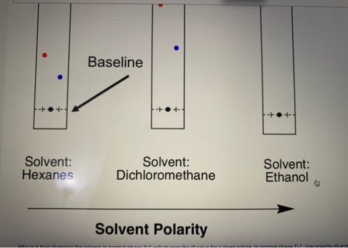 Solved Solvent front Baseline Solvent front Baseline FE - | Chegg.com