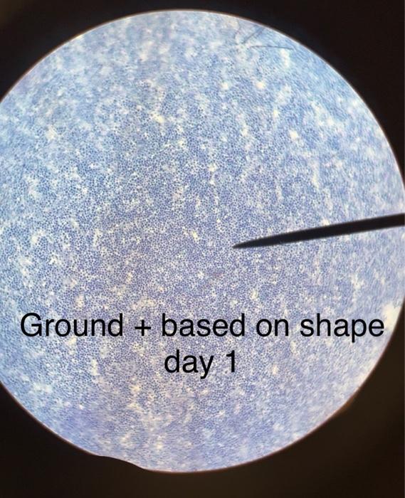 Solved can somone help me fill out the chart (colony | Chegg.com